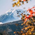 1-Day Mt Fuji and Hakone Sightseeing trip from Tokyo - Is This Tour Worth Its Price?