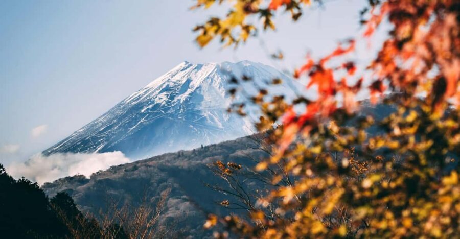 1-Day Mt Fuji and Hakone Sightseeing trip from Tokyo - Is This Tour Worth Its Price?