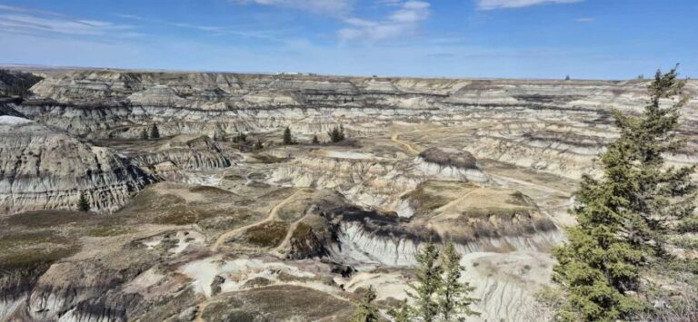 1 Day of Drumheller Dinosaurs and Badlands Guided Tour - What’s Included and What You Should Budget For