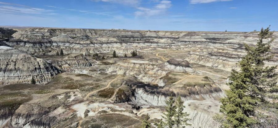 1 Day of Drumheller Dinosaurs and Badlands Guided Tour - What’s Included and What You Should Budget For