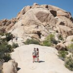 1-day Private Tour to Joshua Tree National Park from Los Angeles - What We Love About This Tour