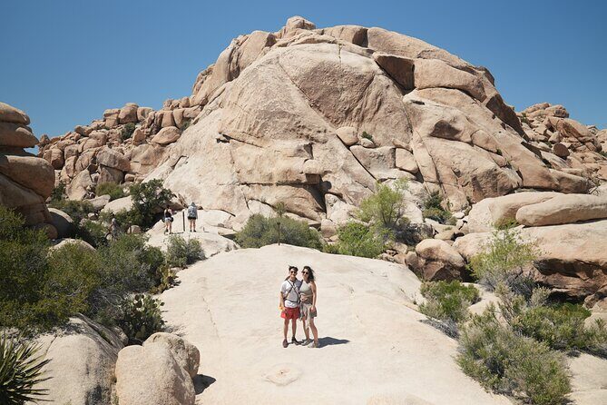 1-day Private Tour to Joshua Tree National Park from Los Angeles - What We Love About This Tour