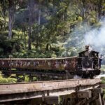 1 day Puffing Billy Steam Train and Wildlife Tour from Melbourne - Transportation and Group Size