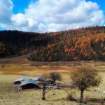 1-Day Shangri-La Private Tour: Potatso National Park and Baiji Temple - Who Will Appreciate This Tour?