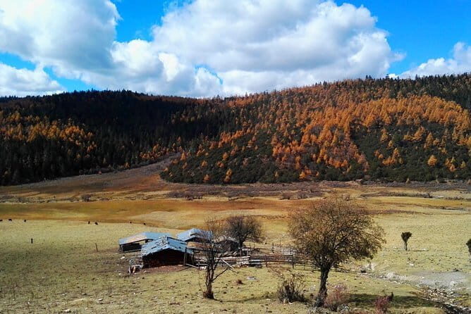 1-Day Shangri-La Private Tour: Potatso National Park and Baiji Temple - Who Will Appreciate This Tour?