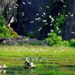 1-day Thung Nham Bird Watching and Hoa Lu ancient town - The Value Proposition