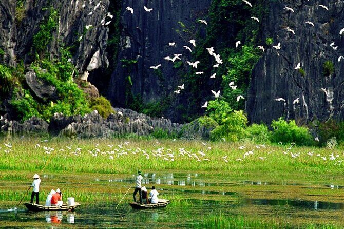 1-day Thung Nham Bird Watching and Hoa Lu ancient town - The Value Proposition
