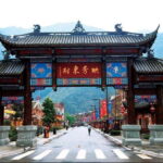 1 Day Wolong Panda Nature Reserve Tour - What Makes This Tour Stand Out?