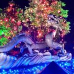 1 hour City Tour & Butchart Gardens: Christmas - Entry included! - Practical Details and Tips