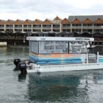 1 Hour Deluxe Scenic Dolphin Cruise - An In-Depth Look at the Itinerary