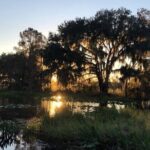 1 Hour Florida Everglades Wildlife Tour - Detailed Review of the Experience