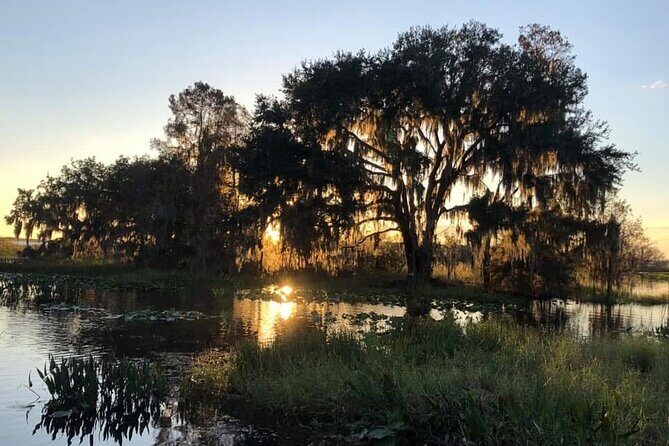 1 Hour Florida Everglades Wildlife Tour - Detailed Review of the Experience