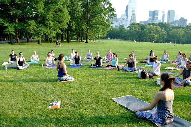 1 Hour Group Yoga Class in Central Park - The Setting: Central Park’s Natural Charm