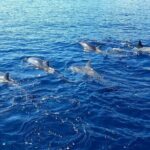 1-hour jet ski excursion in Tahiti - What Makes This Tour Stand Out?