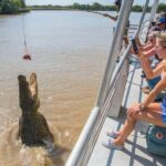 1 Hour Jumping Crocodile Cruise on the Adelaide River - Detailed Breakdown of the Tour Experience