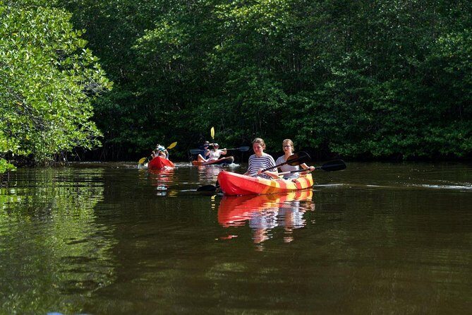 1 Hour Mangrove Tour From Lembongan with Kayak, Paddle, or Boat - The Practicalities: Transportation, Cost, and What You Need to Know