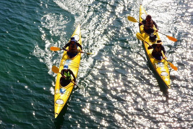 1 Hour Rental Deluxe Double Sea Kayak - Who Is This Experience Best For?