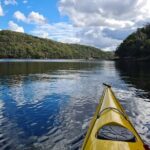 1 Hour Rental in a Deluxe Double Sea Kayak - Authentic Experiences and Insights from Reviewers