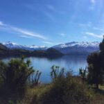 1-Hour Ruby Island Cruise and Walk from Wanaka - A Practical Overview of the Experience