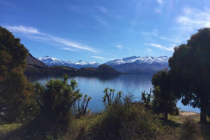 1-Hour Ruby Island Cruise and Walk from Wanaka - A Practical Overview of the Experience