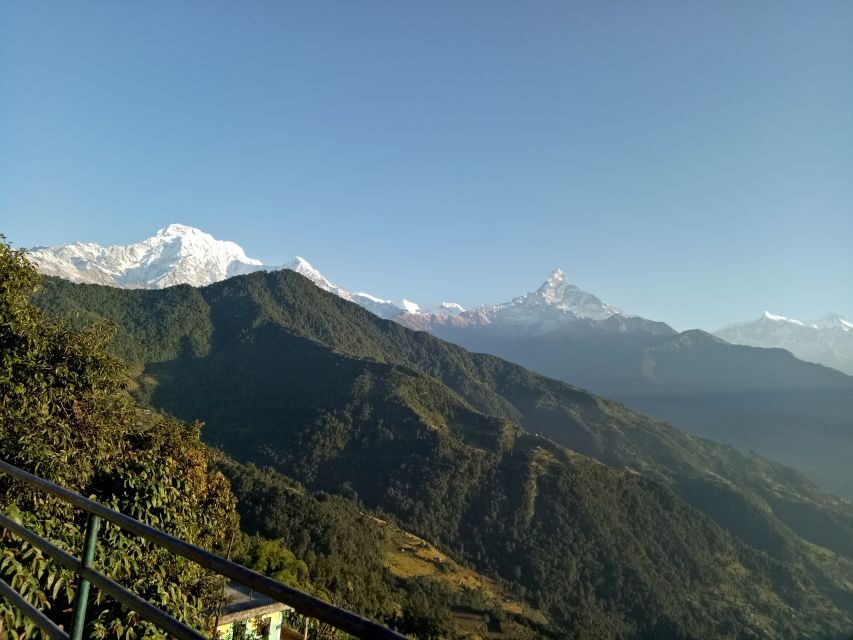 1 N 2 Days easy Dhampus,Australian camp trek from Pokhara - What Travelers Say: Authentic Perspectives