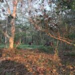 1 Night 2 Days Chitwan Jungle Safari Tour from Kathmandu - Who Should Consider This Tour?