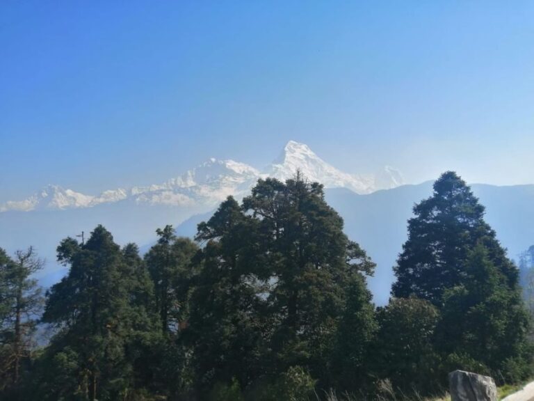 1 Night 2 days Poon hill trek from pokhara - What’s Included and Not