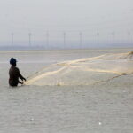 1 Night Fishing Village Experience In Kalpitiya From Colombo - Who Is This Tour Best For?