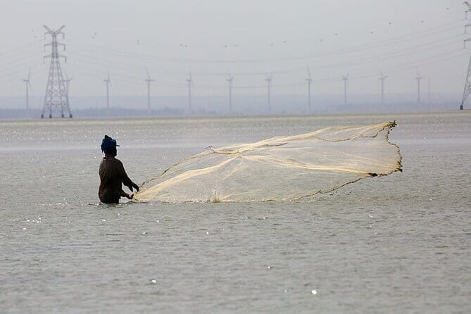 1 Night Fishing Village Experience In Kalpitiya From Colombo - Who Is This Tour Best For?