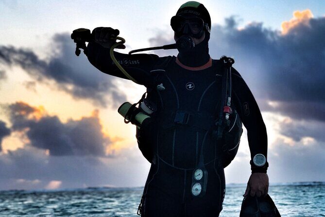 1 Tank Dive for certified divers - The Dive Itself: What to Expect