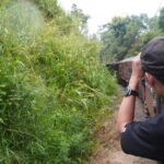 10 Days 5 Star Package Sri Lankas Best Seller - Final Thoughts: Is This Tour Right for You?