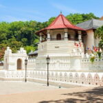 10 Days/ 9 Nights - Heritage Wildlife and Waves in Sri Lanka - What the Tour Means for You