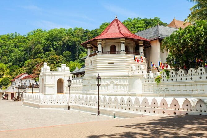 10 Days/ 9 Nights - Heritage Wildlife and Waves in Sri Lanka - What the Tour Means for You