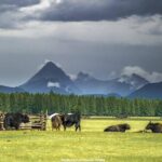 10 Days EXPLORE THE BEAUTY OF NORTHERN MONGOLIA - Frequently Asked Questions