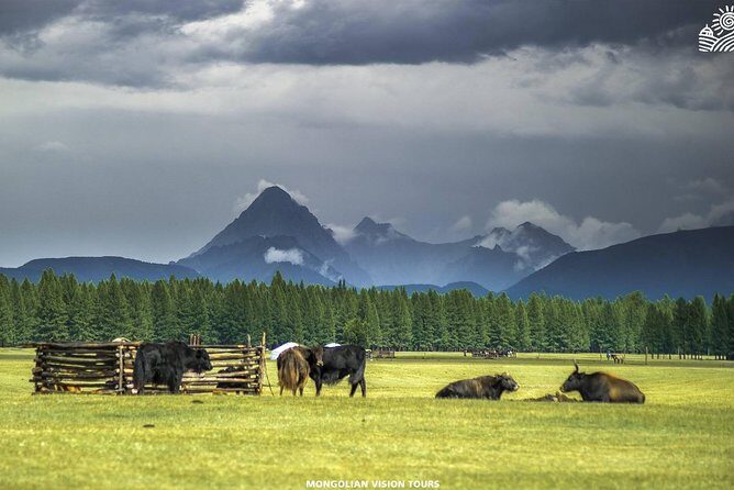 10 Days EXPLORE THE BEAUTY OF NORTHERN MONGOLIA - Frequently Asked Questions
