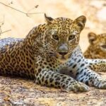 10-Days Private tour package. English speaking driver and Private luxury vehicle - The Sum Up: Is This Tour Worth It?