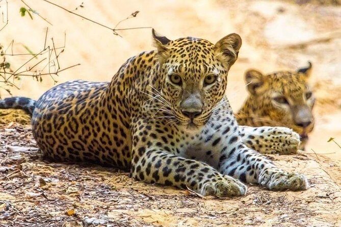 10-Days Private tour package. English speaking driver and Private luxury vehicle - The Sum Up: Is This Tour Worth It?