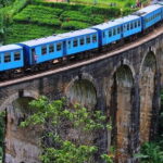10 Days Private Vehicle & Driver Explore Sri Lanka By Your Plans - Practical Aspects: Transportation, Cost, and Convenience