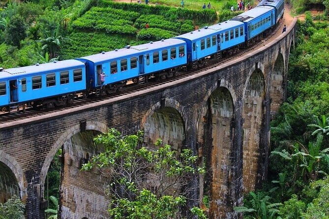 10 Days Private Vehicle & Driver Explore Sri Lanka By Your Plans - Practical Aspects: Transportation, Cost, and Convenience