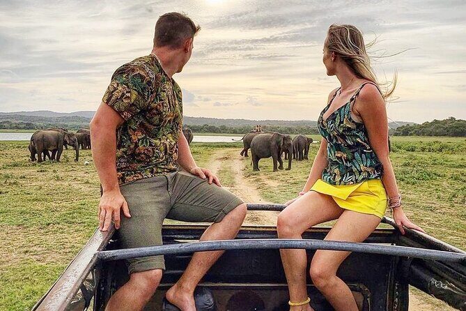10 Days Sri Lanka Private Tours H/B accommodations - An In-Depth Look at the Tour Experience