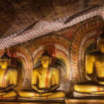 10 Days Travel in Sri Lanka with Accommodation - Who Will Love This Tour