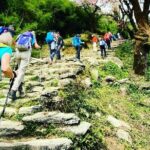 11-Day Hike Tour to Annapurna Base Camp Bliss in Kathmandu - Transportation & Support