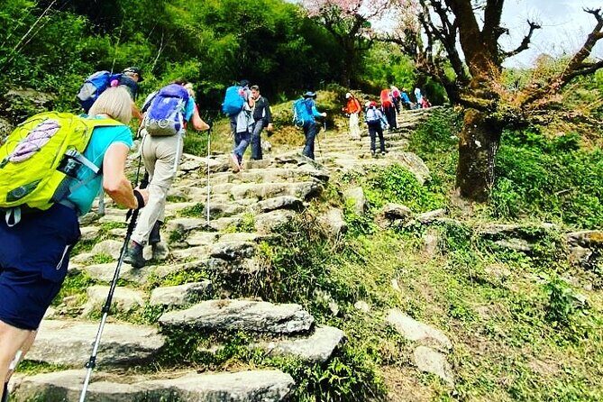11-Day Hike Tour to Annapurna Base Camp Bliss in Kathmandu - Transportation & Support