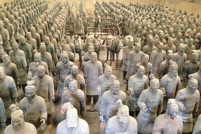 12-Day China Tour with Beijing, Xi'an, Yangtze River Cruise, and Shanghai - The Practical Side: What Travelers Can Expect