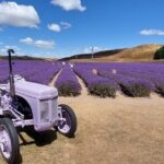 12 Day New Zealand Private Tour from Auckland to Stewart Island - Whats the Value?