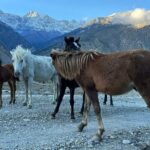 12 Days Overland Tour to Upper Mustang - Frequently Asked Questions