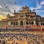 14 Days Golden Triangle tour with enchanting Kerala South India tour - What Travelers Love and What to Keep in Mind