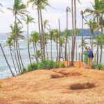 14 Days Tour Package Sri Lanka - What Makes This Tour Stand Out?