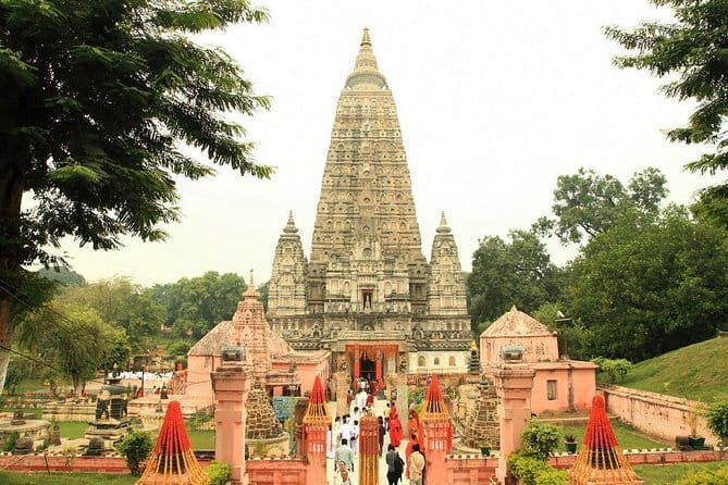 15 Days - Golden Triangle Tour with Buddhist Circuit - Insights from Travelers