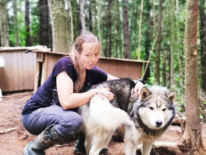 15 min. Tadoussac : Behind-the-Scenes Sled Dog Kennel Tour - The Practical Aspects: Planning Your Visit